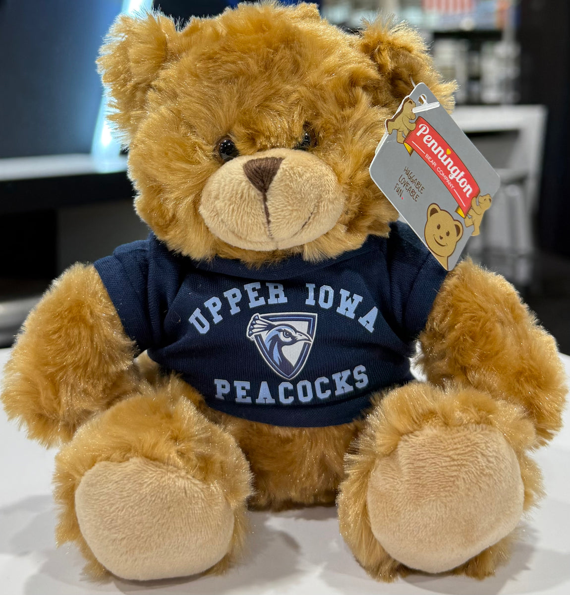 Pennington Mocha Bear 6" – Upper Iowa University - Campus Store
